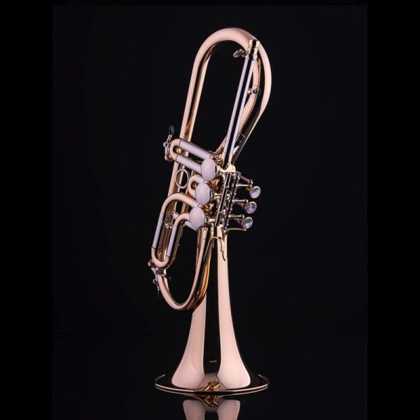 Schagerl Meister Killer Queen Rotary Flugelhorn – Orchestral Supplies ...