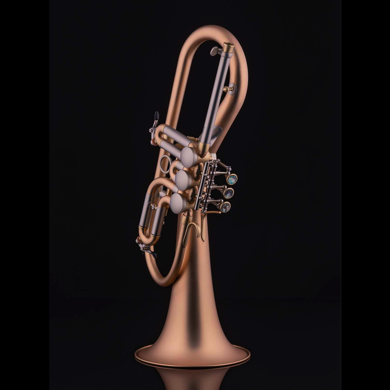 Schagerl Meister Killer Queen Rotary Flugelhorn – Orchestral Supplies ...